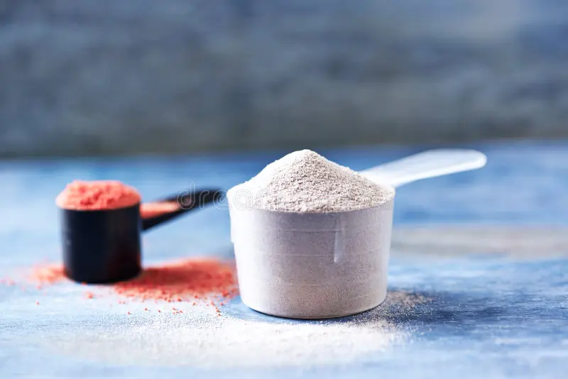 Creatine vs Protein : Which One Truly Builds More Muscle?